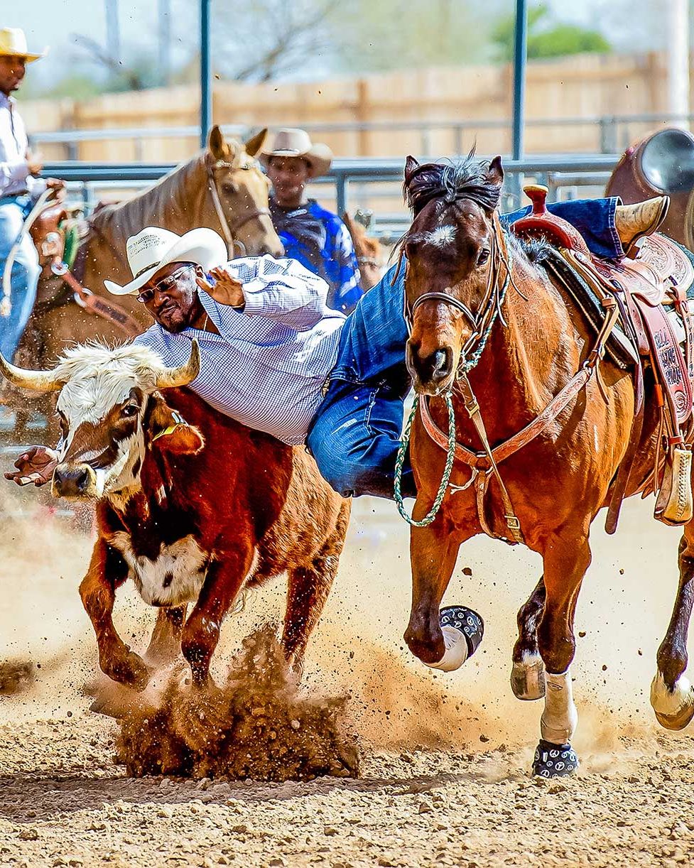 Black Cowboys - African American Museum