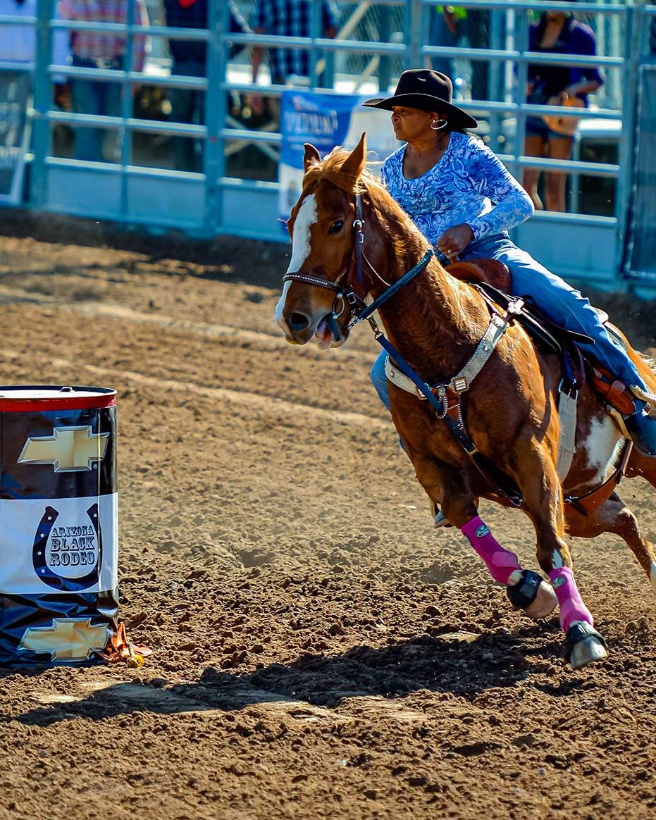 Black Cowboys - African American Museum