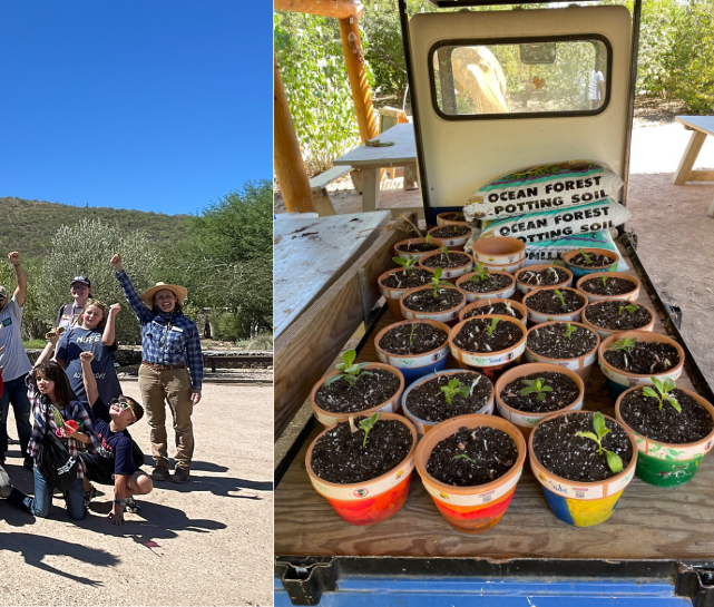 Events - African American Museum