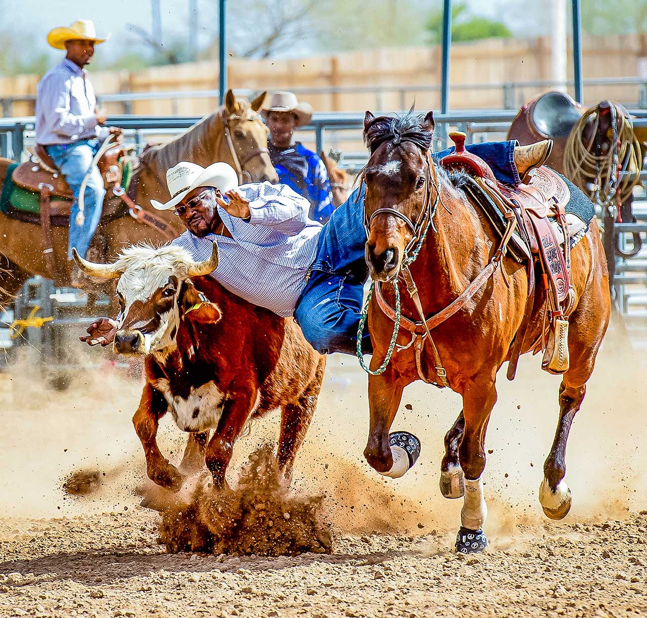 Black Cowboys - African American Museum